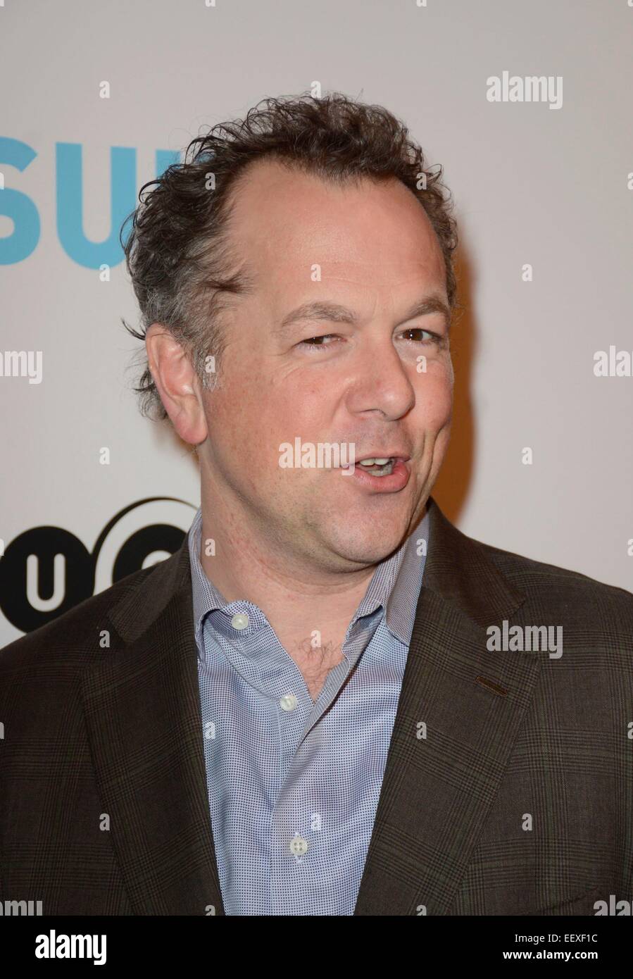 New York, NY, USA. 22nd Jan, 2015. David Costabile at arrivals for USA ...