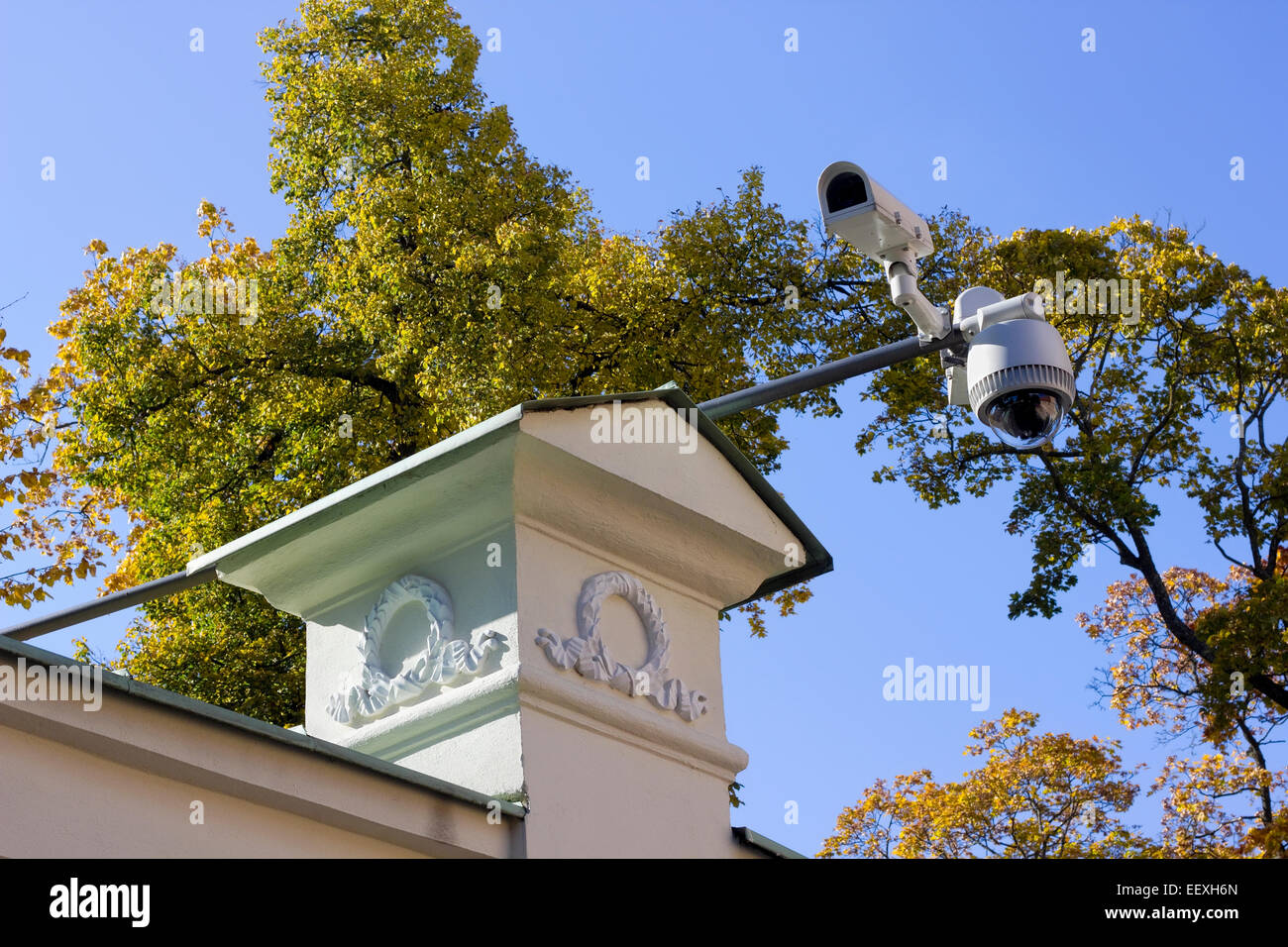 Professional supervision hi-res stock photography and images - Alamy