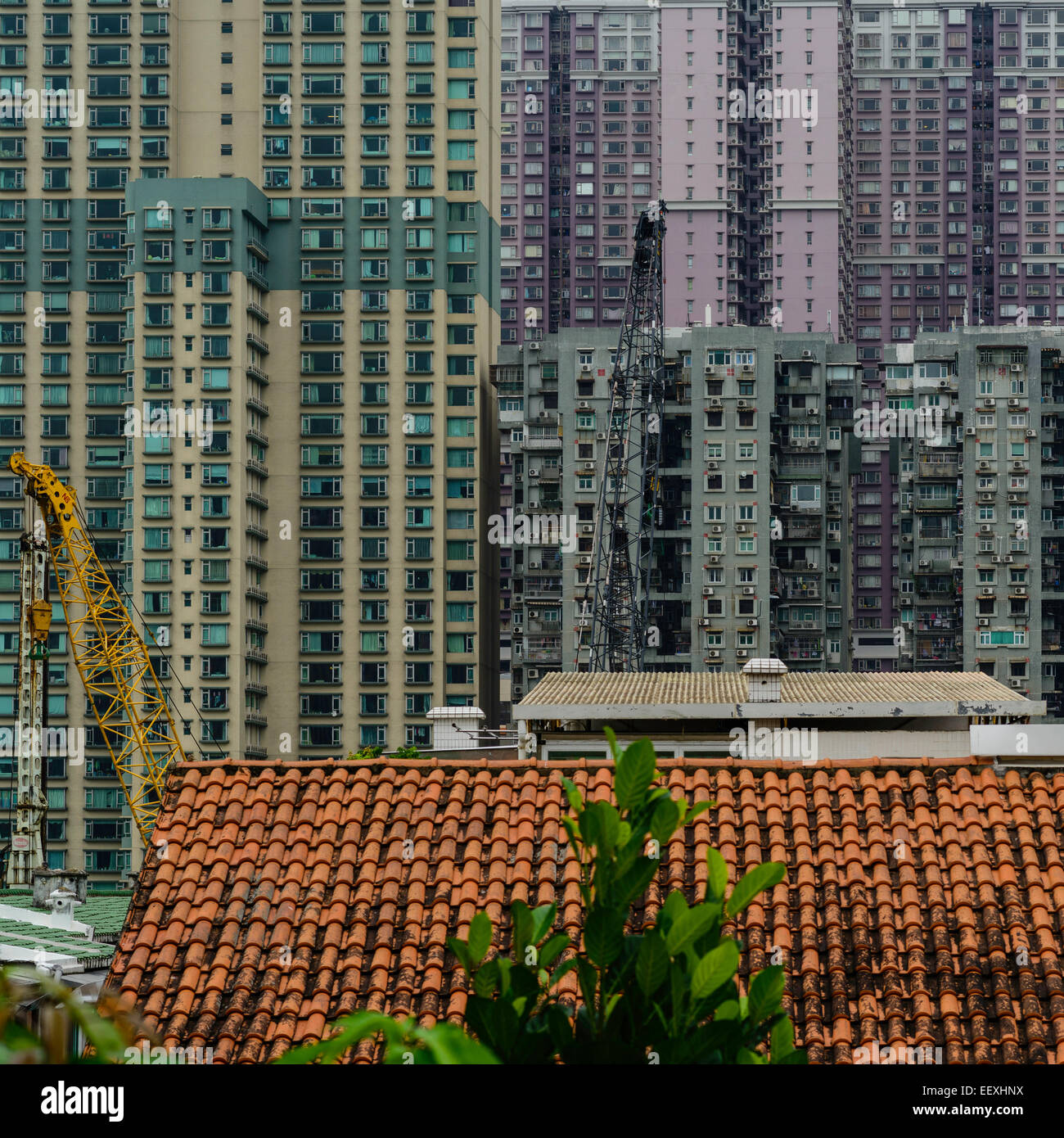 Buildings in Macau Stock Photo - Alamy