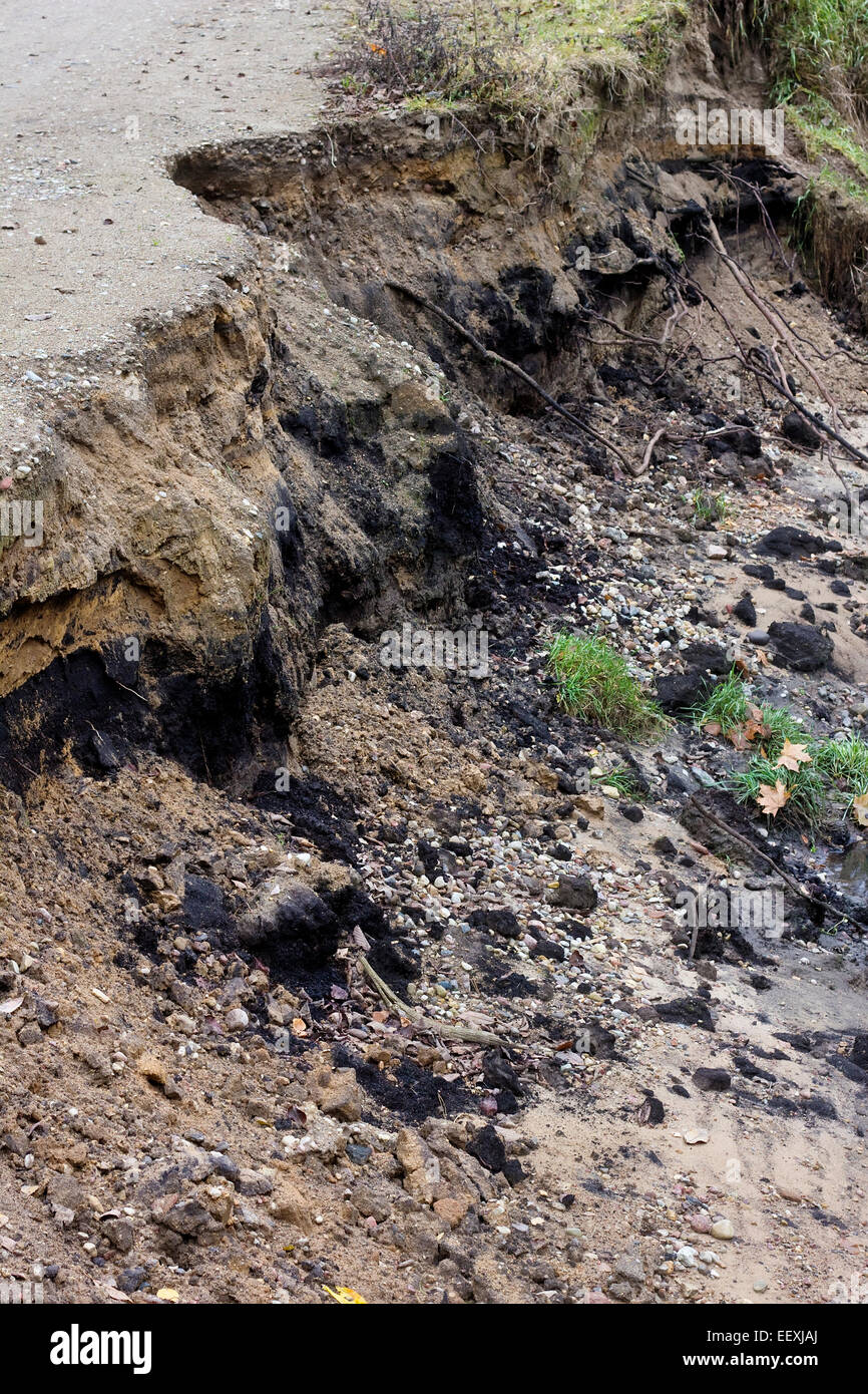 Forests Soil Erosion