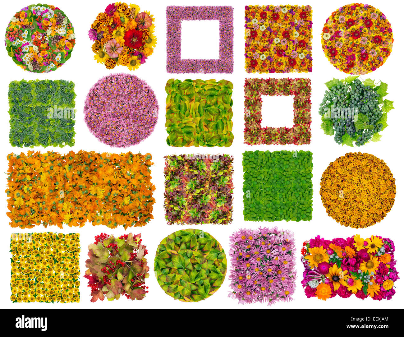Simple square and round nature textures from flowers and leaves set ...