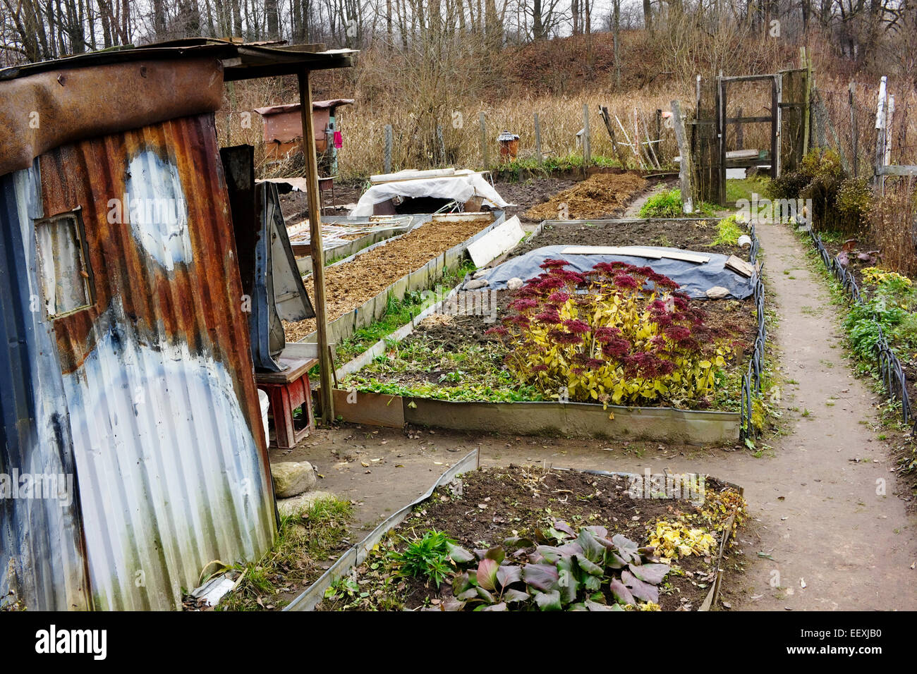 Poor house kitchen hi-res stock photography and images - Alamy