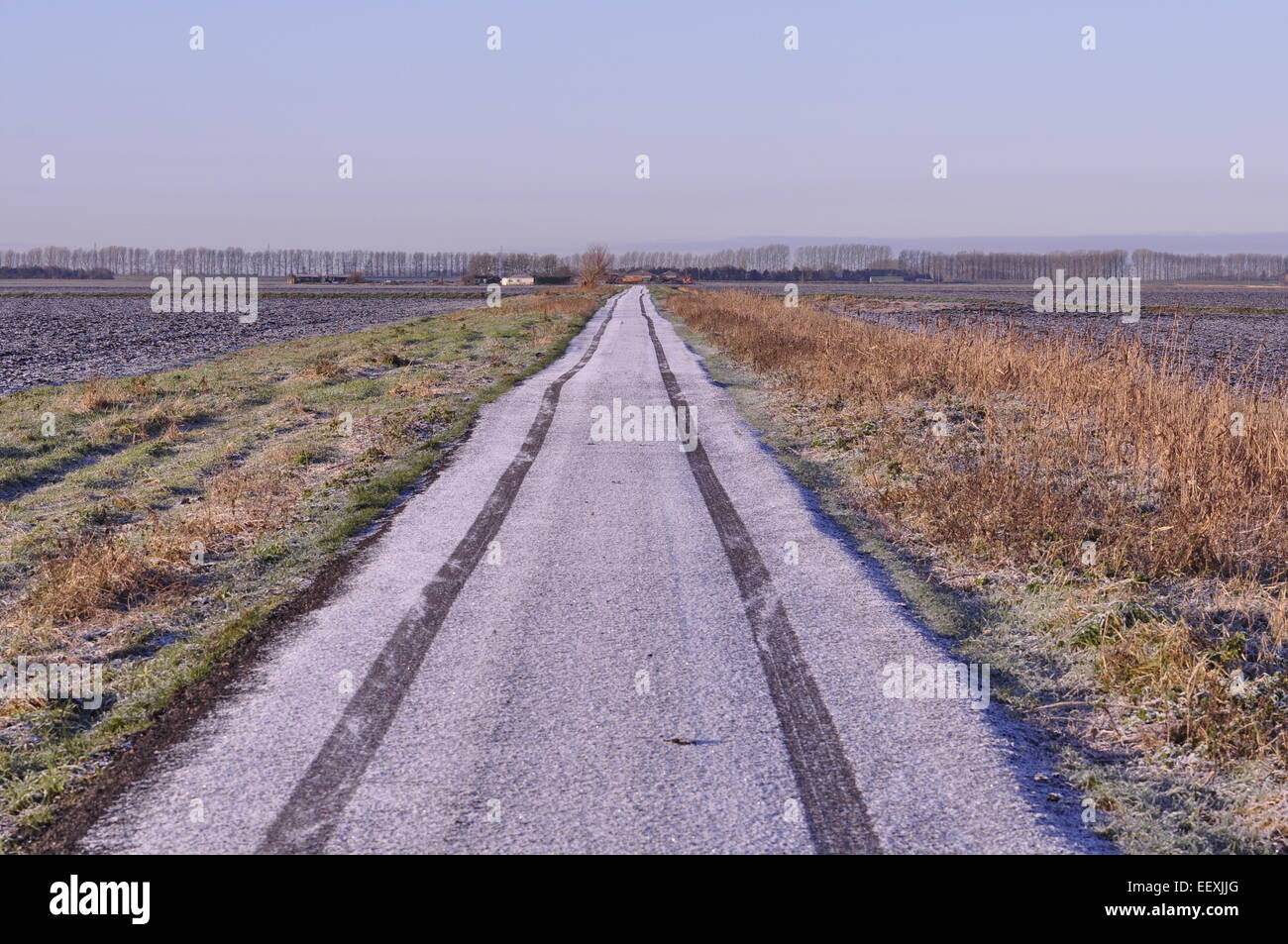 On the fens west of Feltwell, Norfolk Stock Photo - Alamy