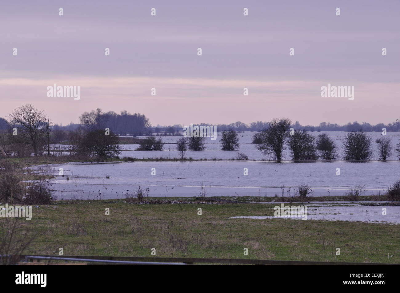 The Great Ouse Washes, Fenland Stock Photo - Alamy