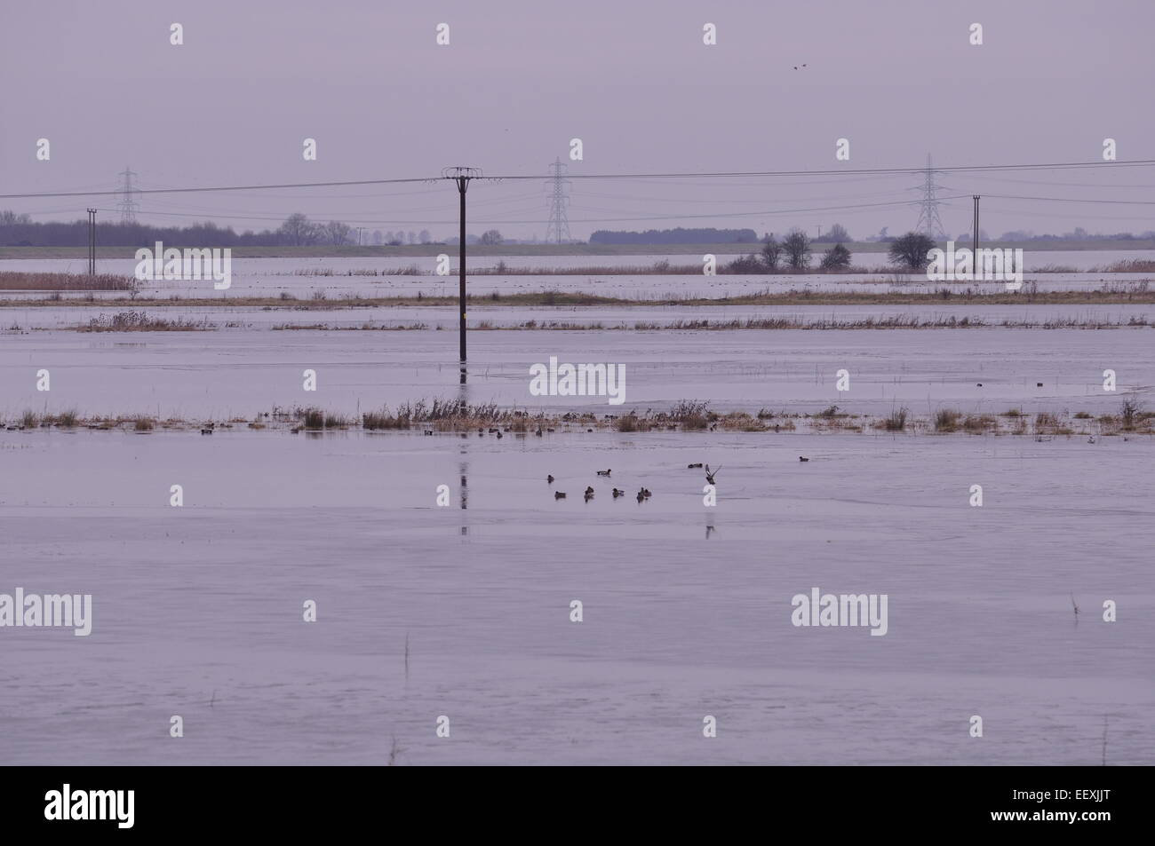 Ouse washes hi-res stock photography and images - Alamy