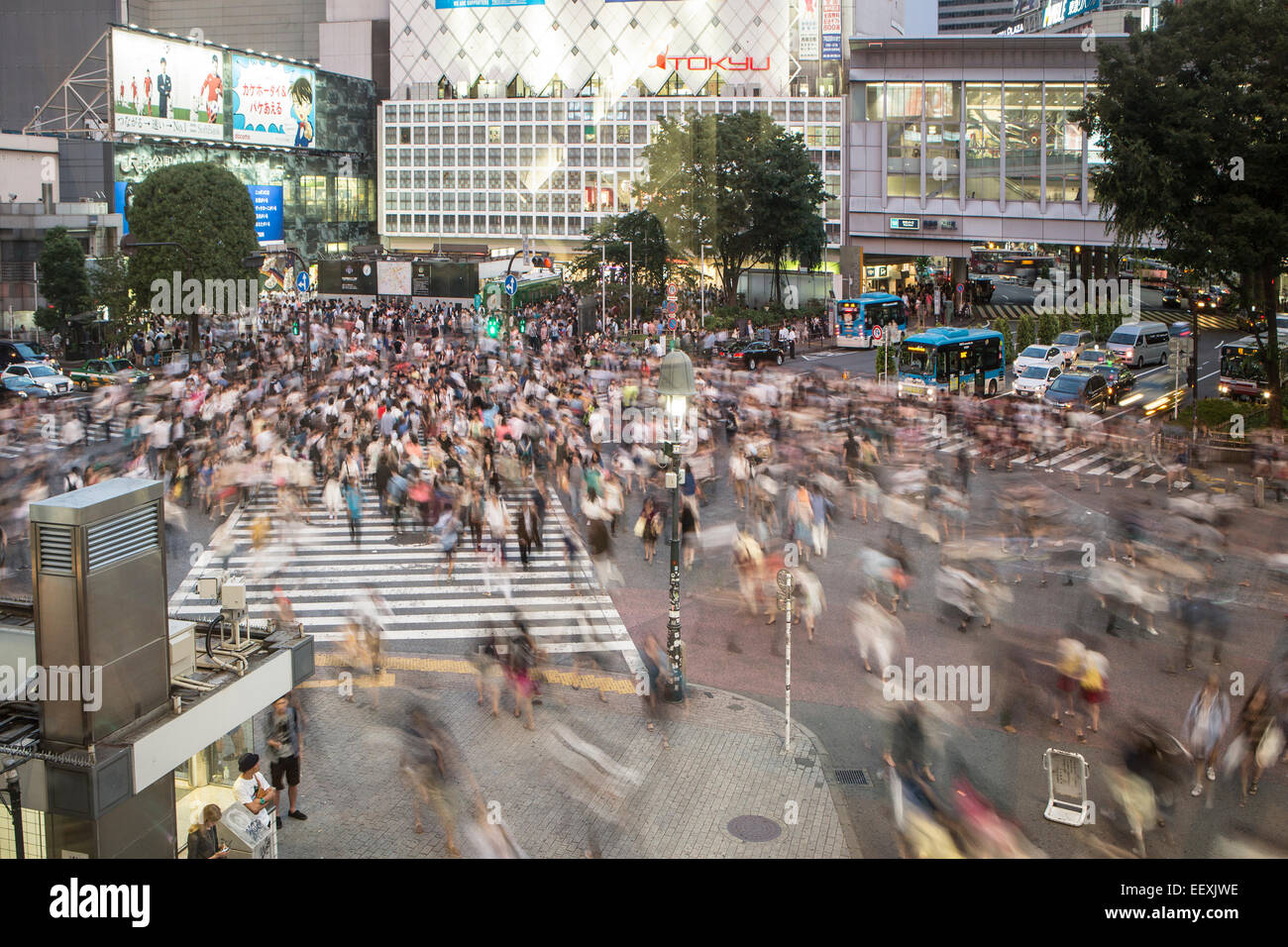 Shibuya crossing night hi-res stock photography and images - Alamy