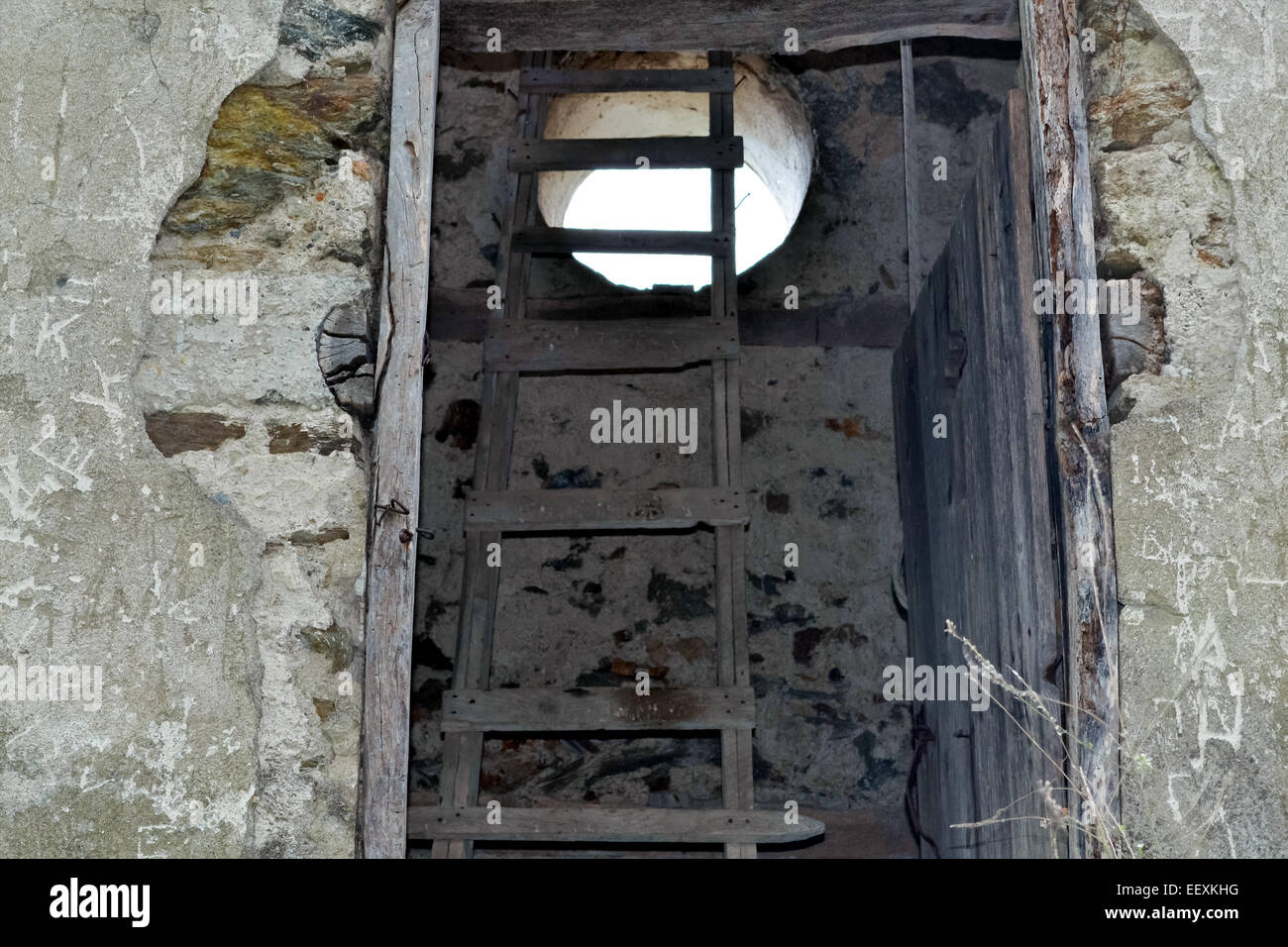 Metaphorical expression of the quest for success shown in artistic ...