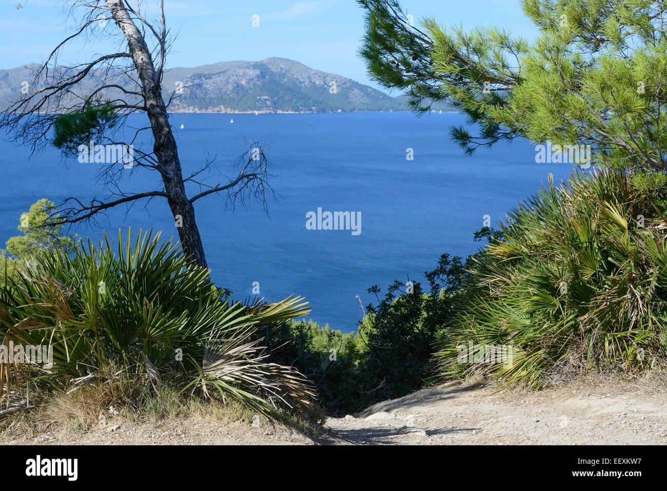 View with boats over Pollensa bay Stock Photo - Alamy