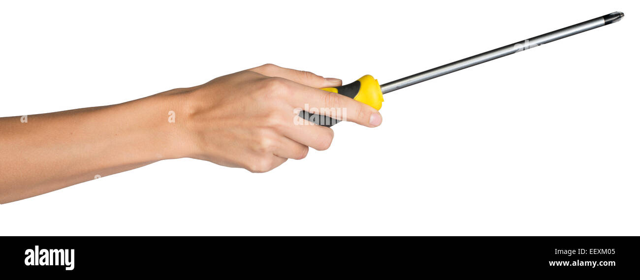 Female hand holding screwdriver Stock Photo - Alamy