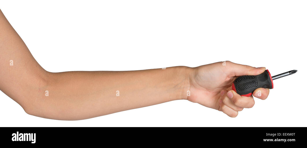 Female hand holding screwdriver Stock Photo - Alamy