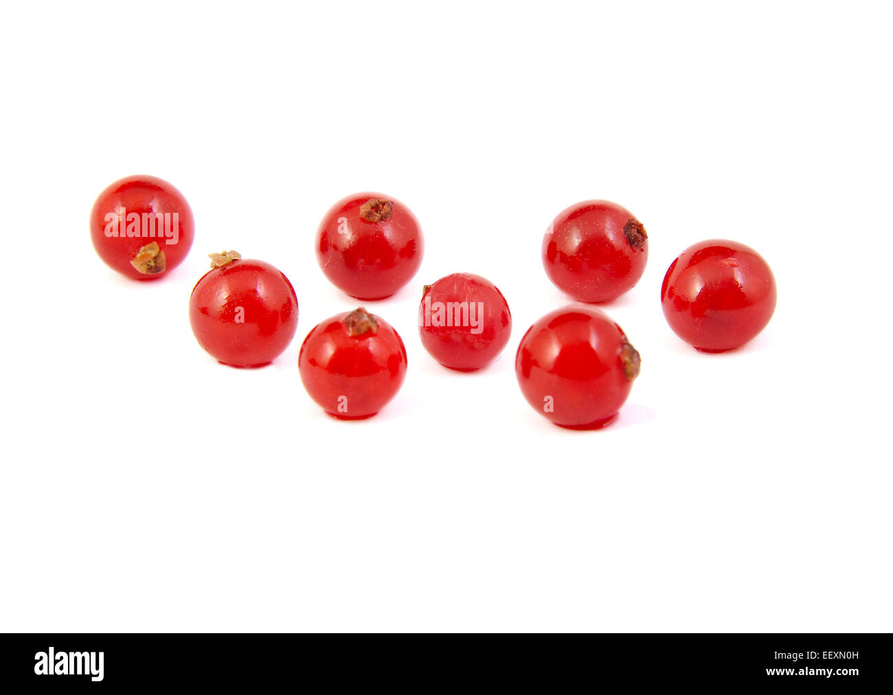 Red currants cluster hi-res stock photography and images - Alamy