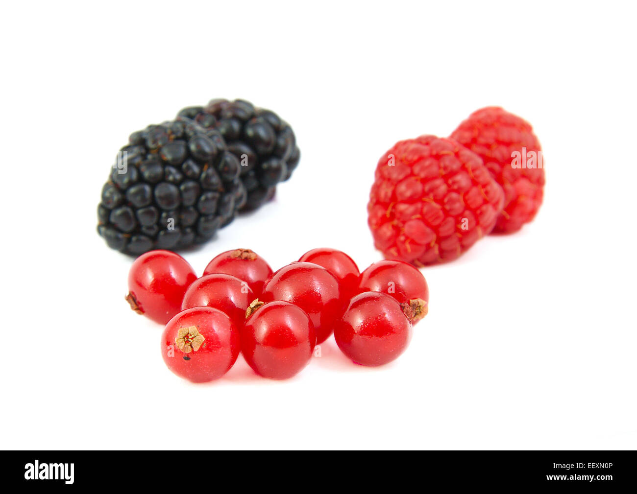 Tasty ripe raspberries currants Cut Out Stock Images & Pictures - Alamy