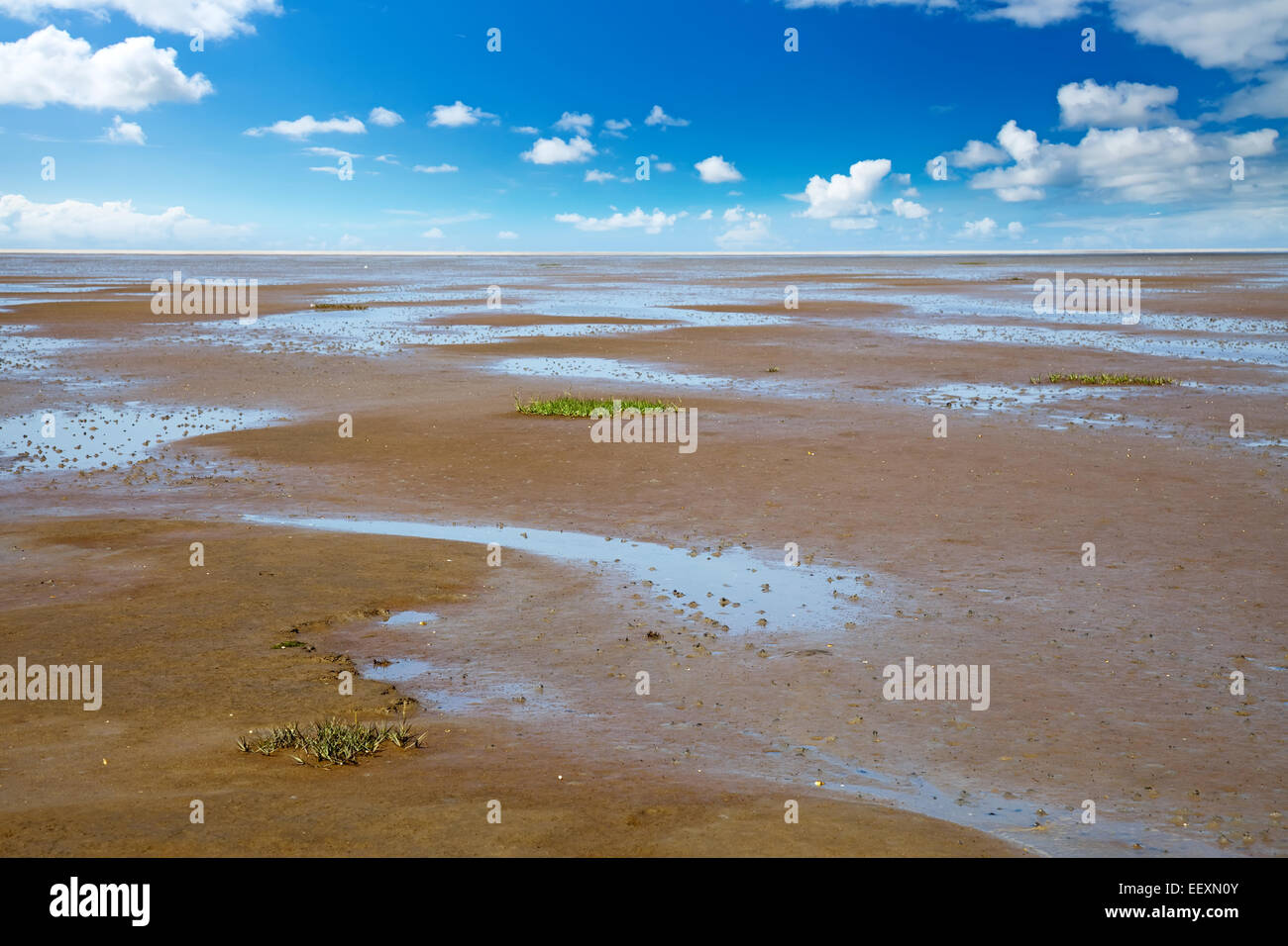 Danish wadden sea national park Stock Photo - Alamy