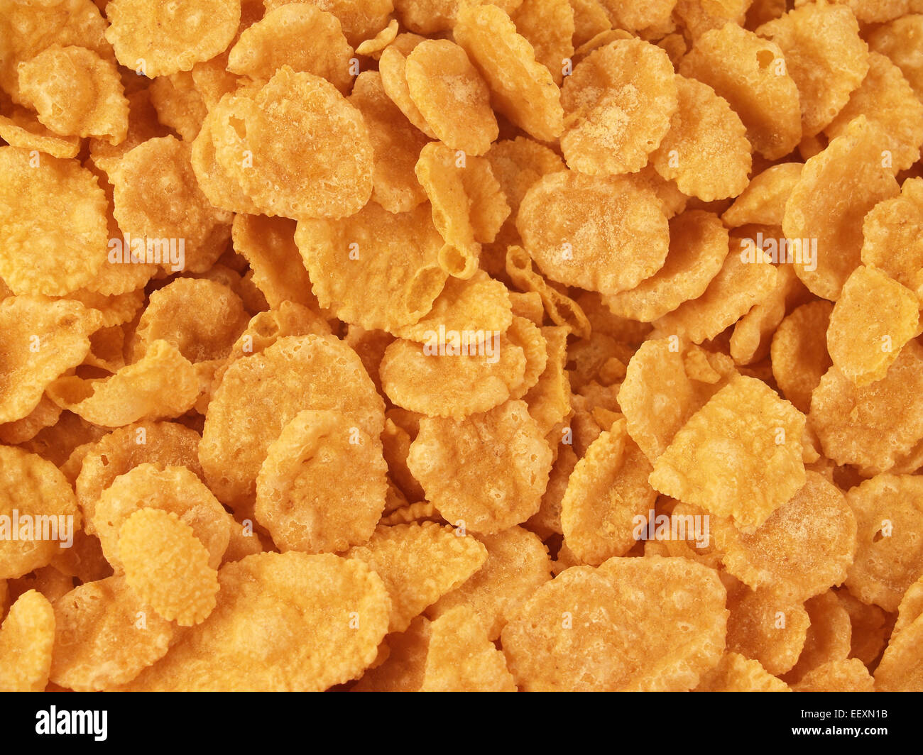 Close-up of cornflakes Stock Photo - Alamy