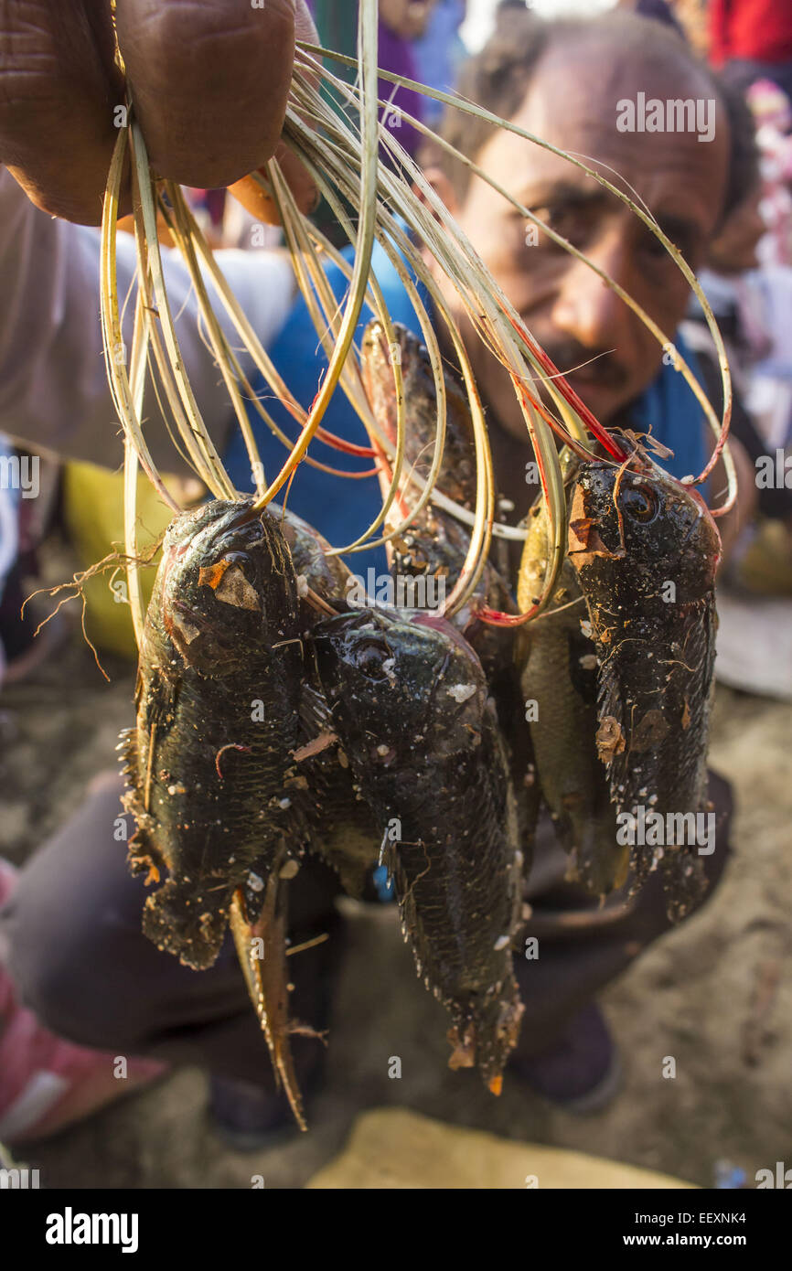 Barter system hi-res stock photography and images - Alamy