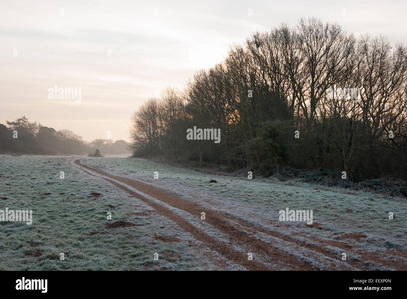 Shotover park hi-res stock photography and images - Alamy