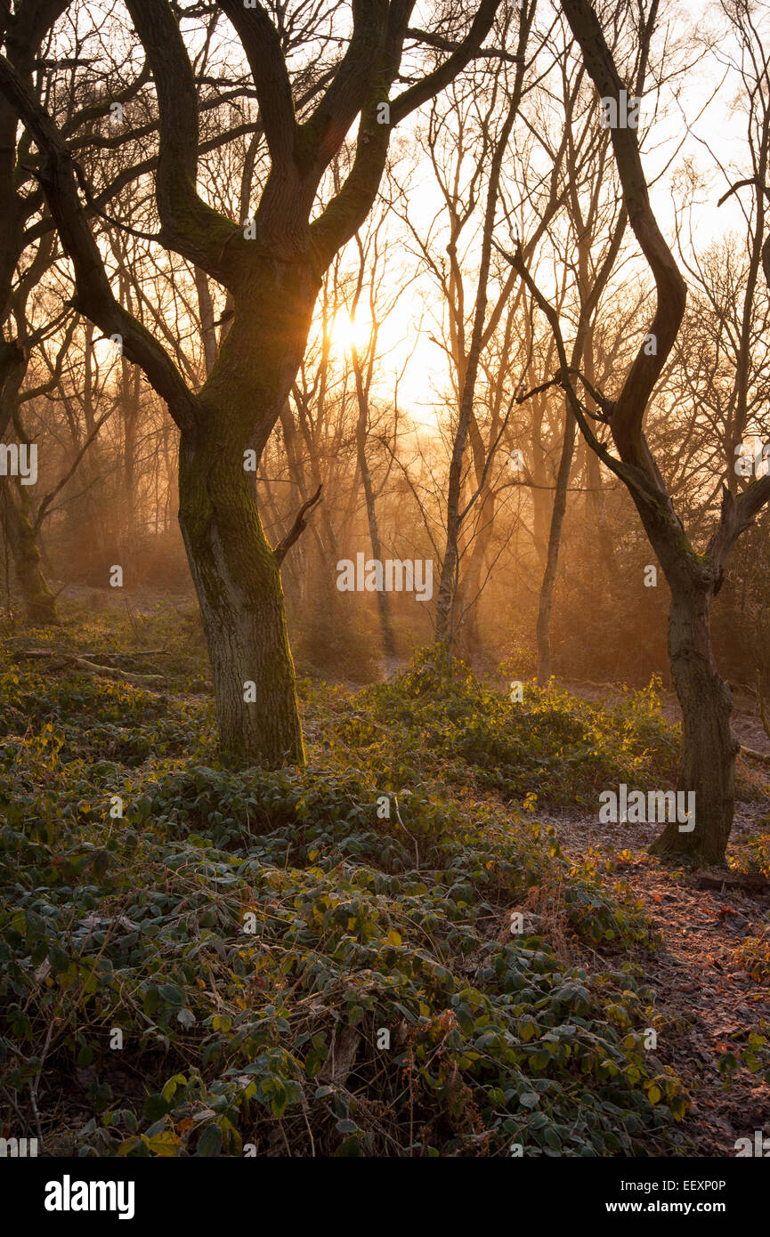 Shotover country park hi-res stock photography and images - Alamy