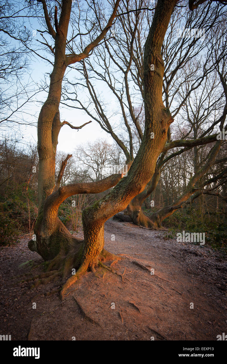 Shotover park hi-res stock photography and images - Alamy