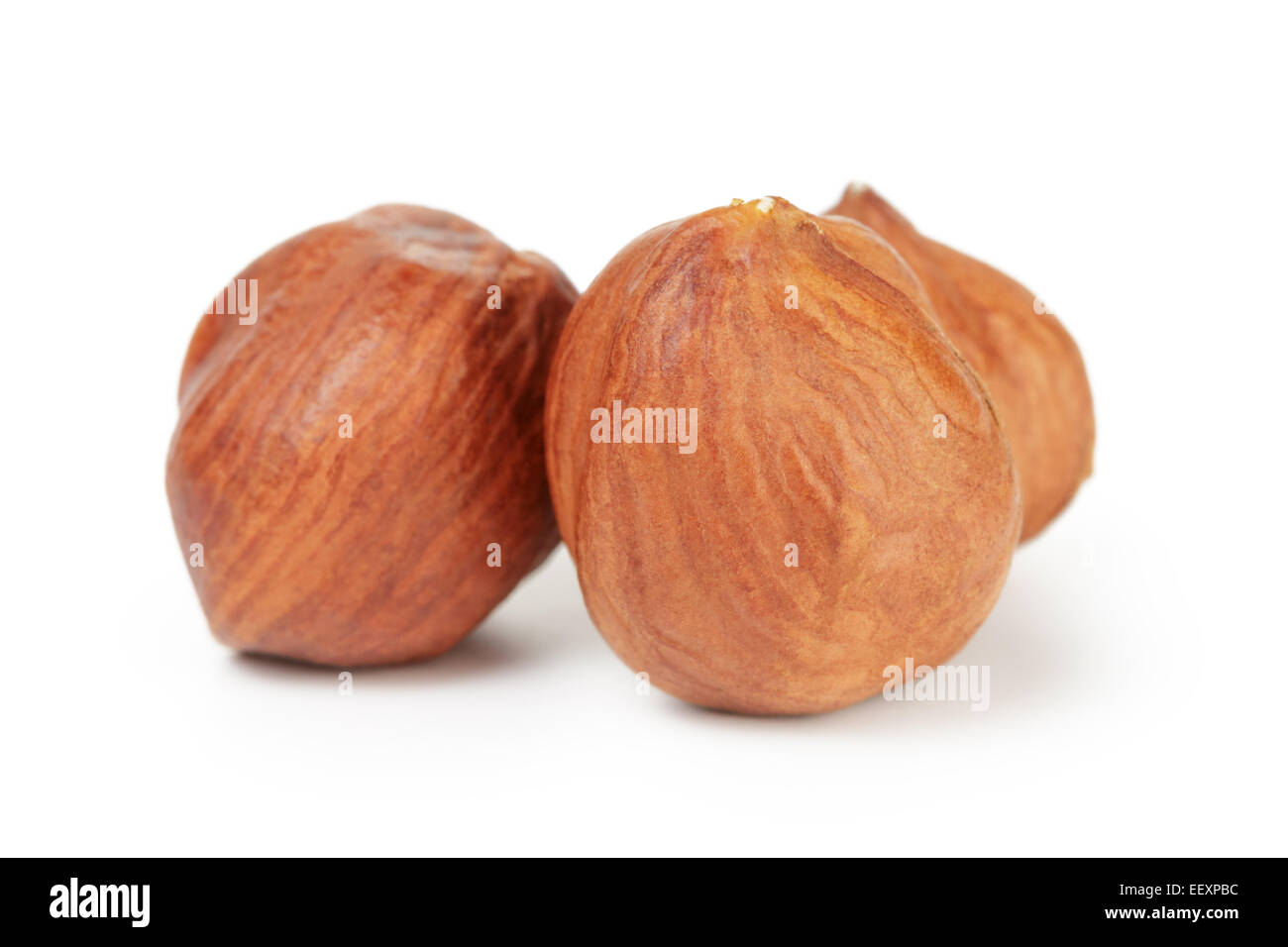 three hazelnut kernels isolated on white background Stock Photo - Alamy