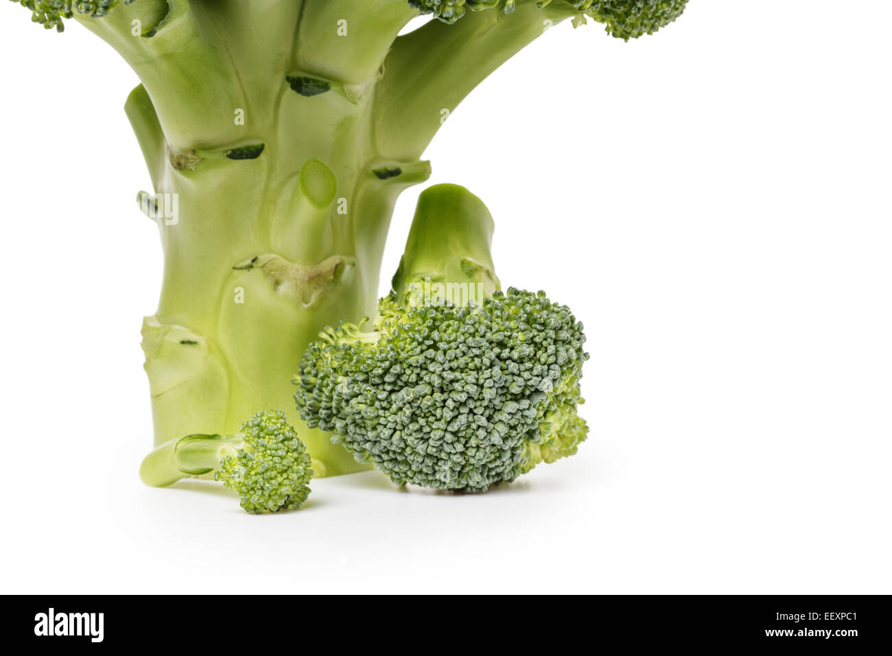 fresh broccoli part isolated on white background Stock Photo - Alamy
