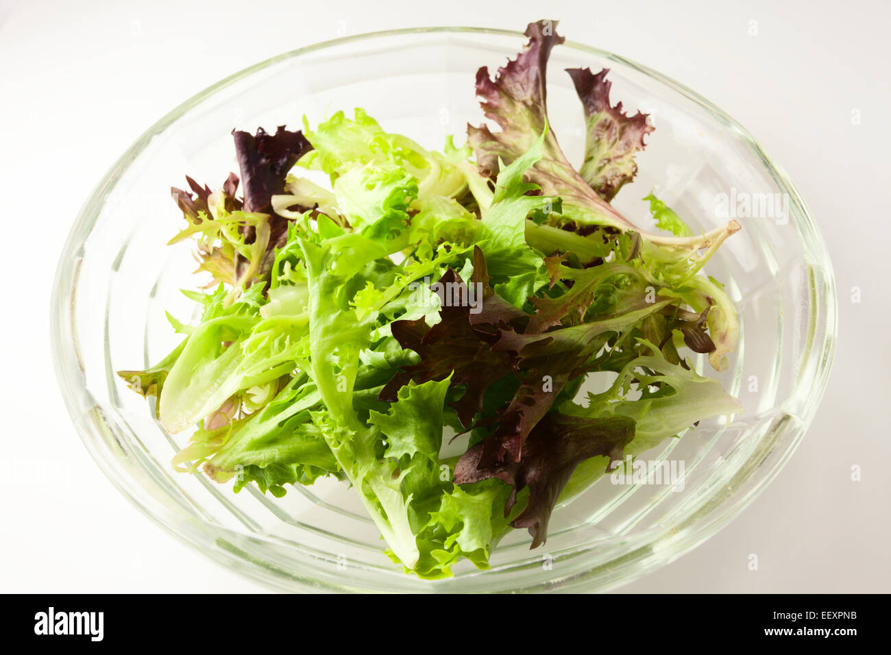 Green and red multileaf lettuce leaves hi-res stock photography and ...