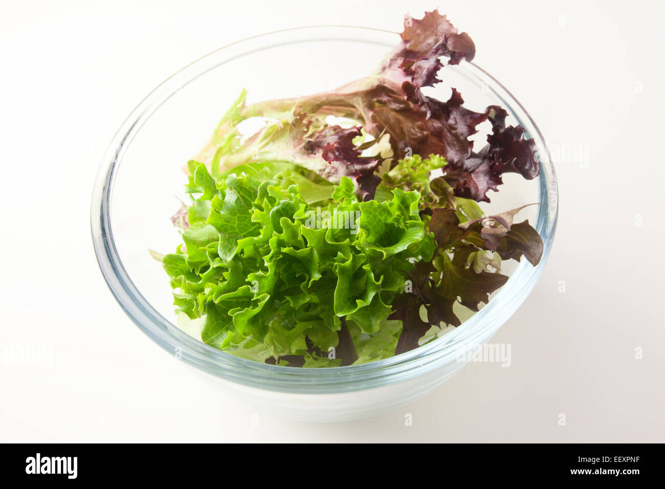 Green and red multileaf lettuce leaves hi-res stock photography and ...