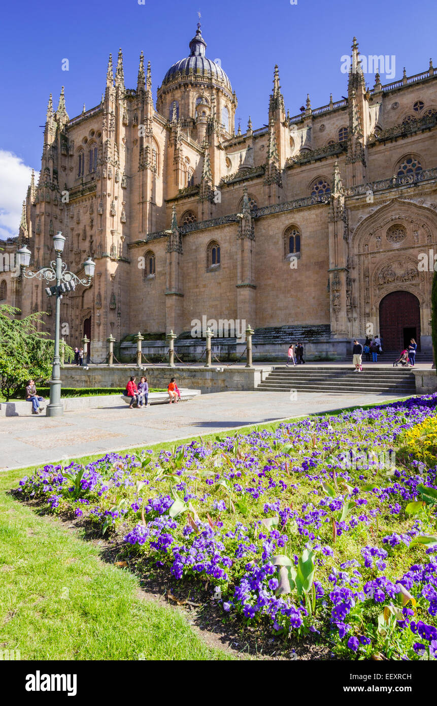 New Cathedral and flowers in Plaza de Anaya, Salamanca, Castile and ...