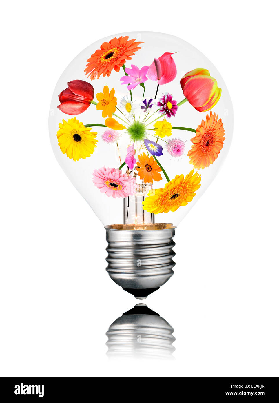 Light Bulb with Various Colorful Flowers Growing Inside from Center to ...