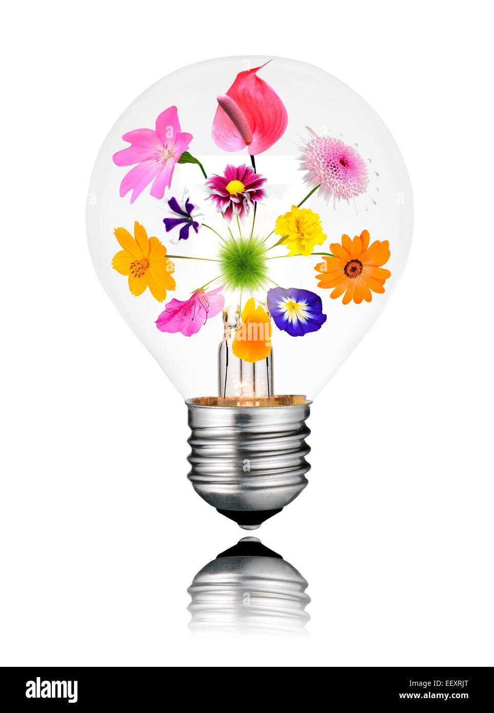 Light Bulb with Various Colorful Flowers Growing Inside from Center to ...