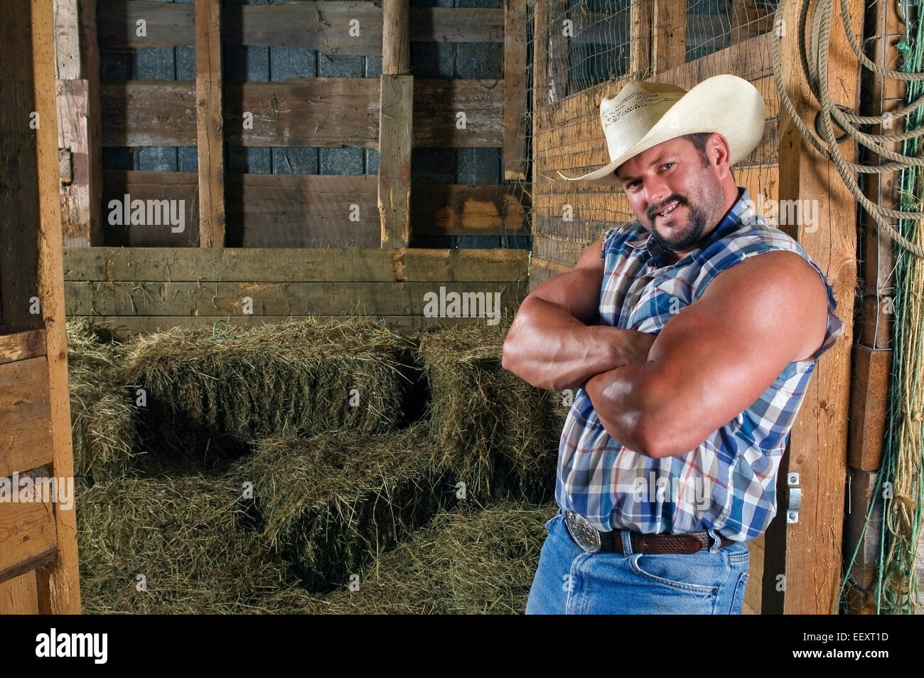 Man in a stable Stock Photo - Alamy