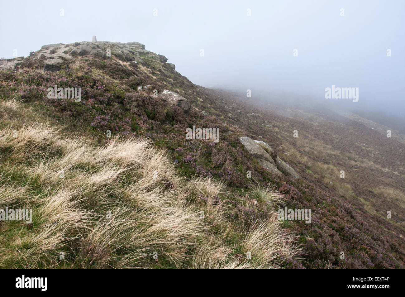 Trig point on Win Hill in the Peak District with windswept grasses on ...