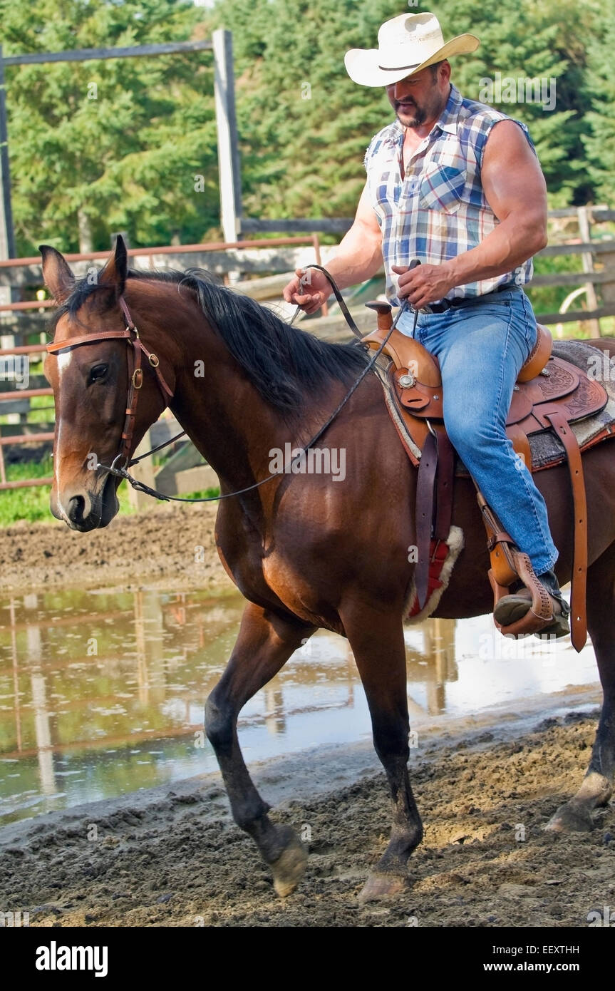 Man riding a horse outdoors Stock Photo - Alamy