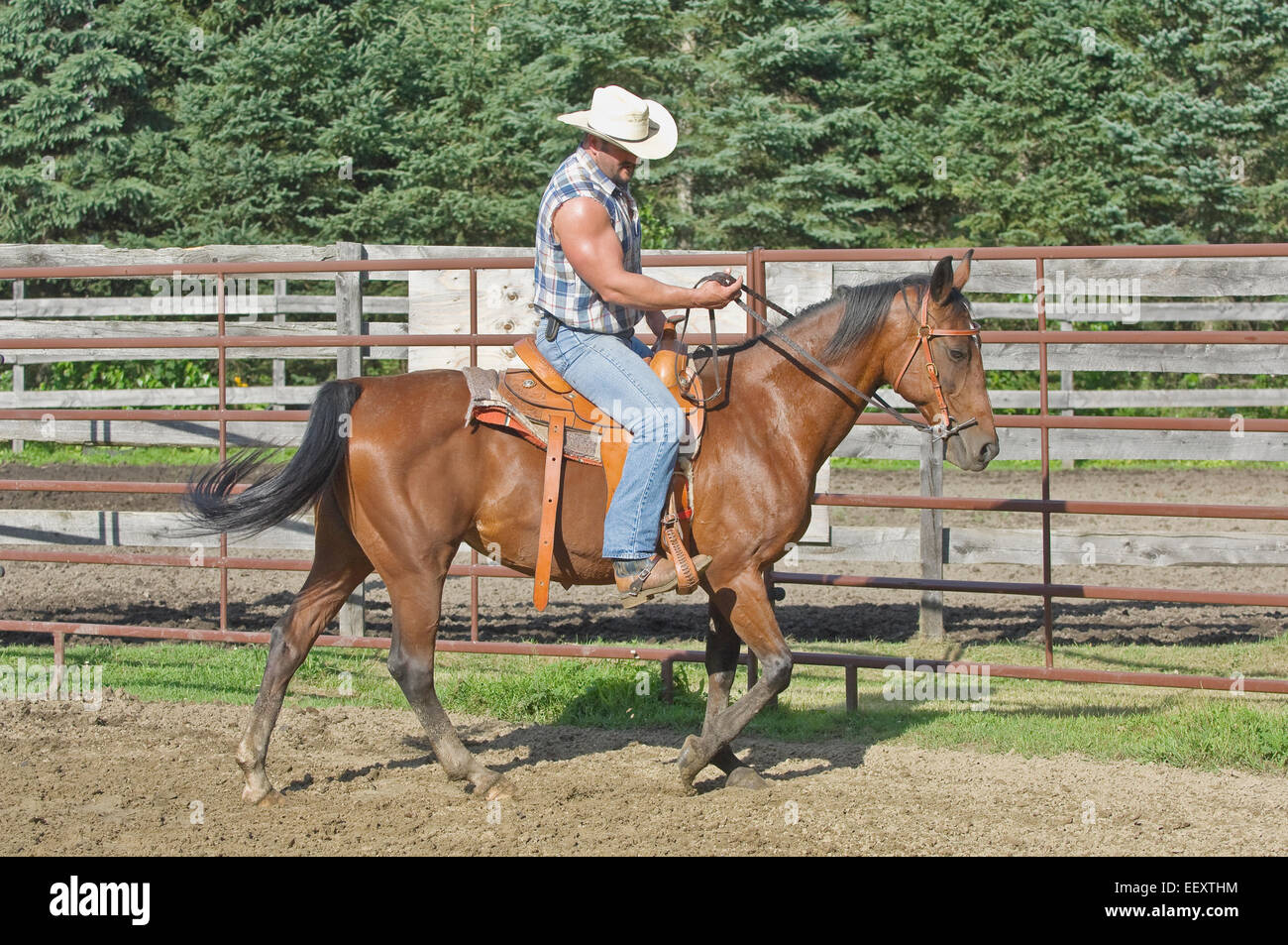 Horse paths hi-res stock photography and images - Alamy