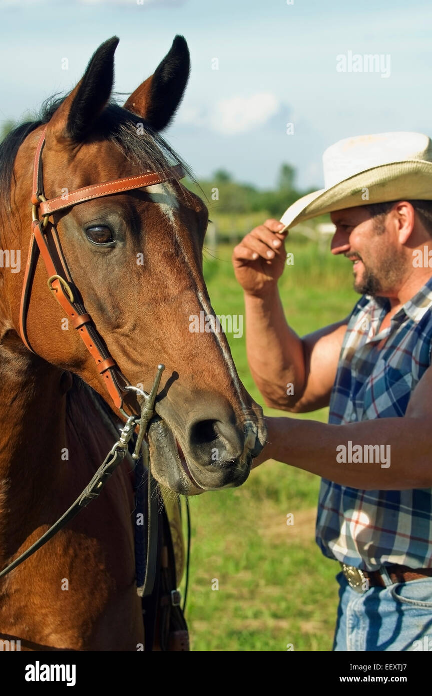 Man with a horse outdoors Stock Photo - Alamy