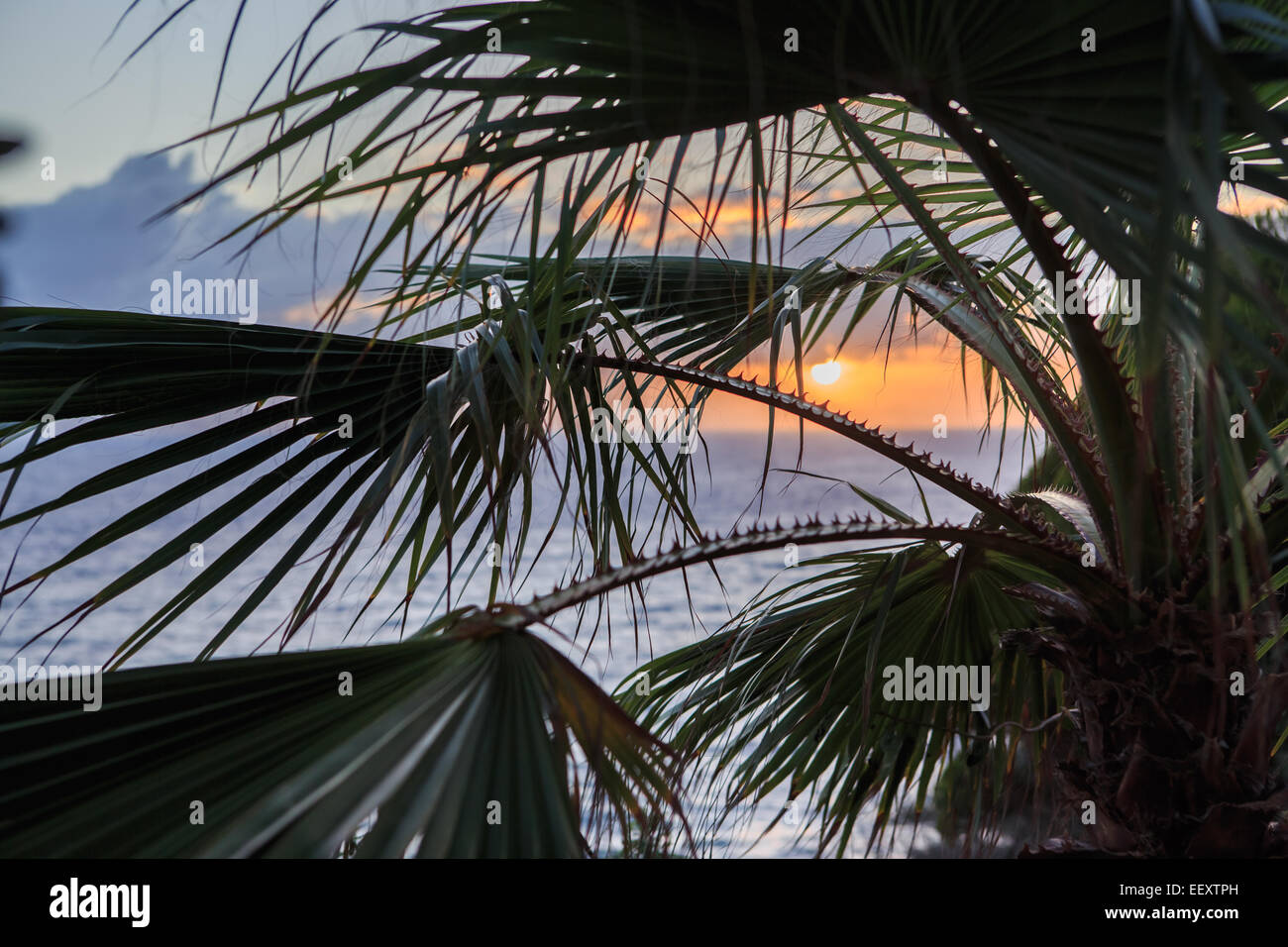 Madeira island sunset hi-res stock photography and images - Alamy