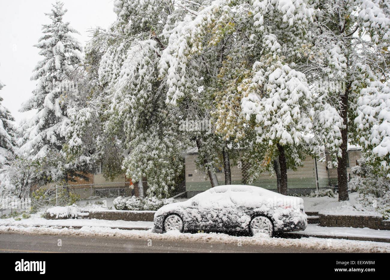 Calgary snowstorm hi-res stock photography and images - Alamy