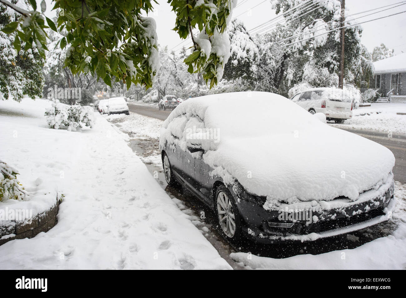 Calgary snowstorm hi-res stock photography and images - Alamy