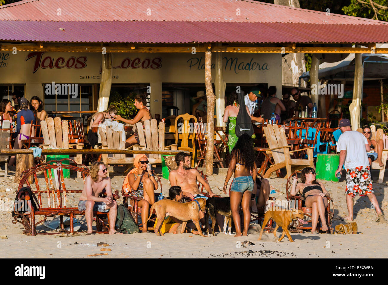 People & bar at sunset on this surf beach near tourist hub San Juan del ...