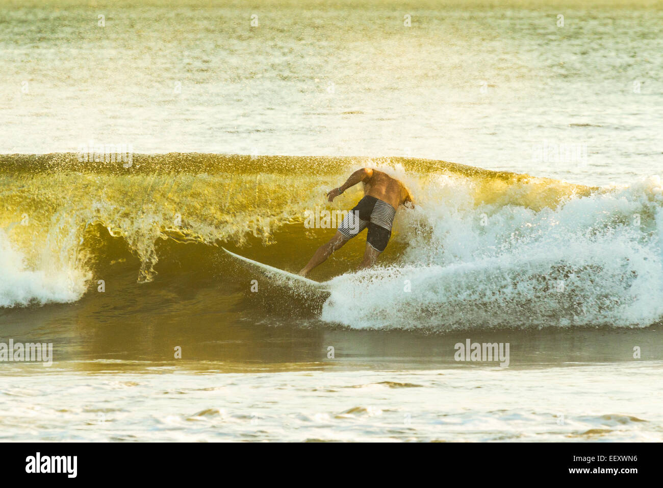 Surfer in barrel hi-res stock photography and images - Alamy