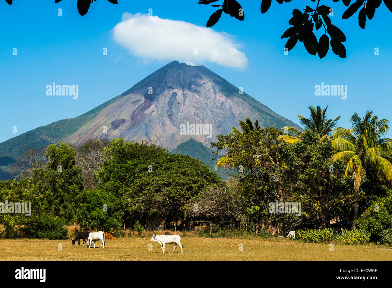 1610m active Volcan Concepcion, bigger of the two volcanoes that form ...
