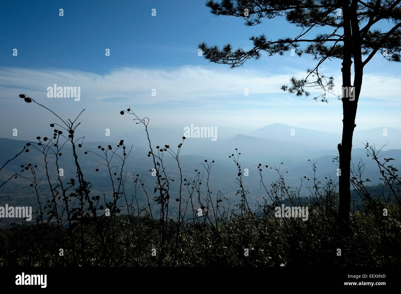 Scenic view of Phu Ruea National Park which covers an area of ...