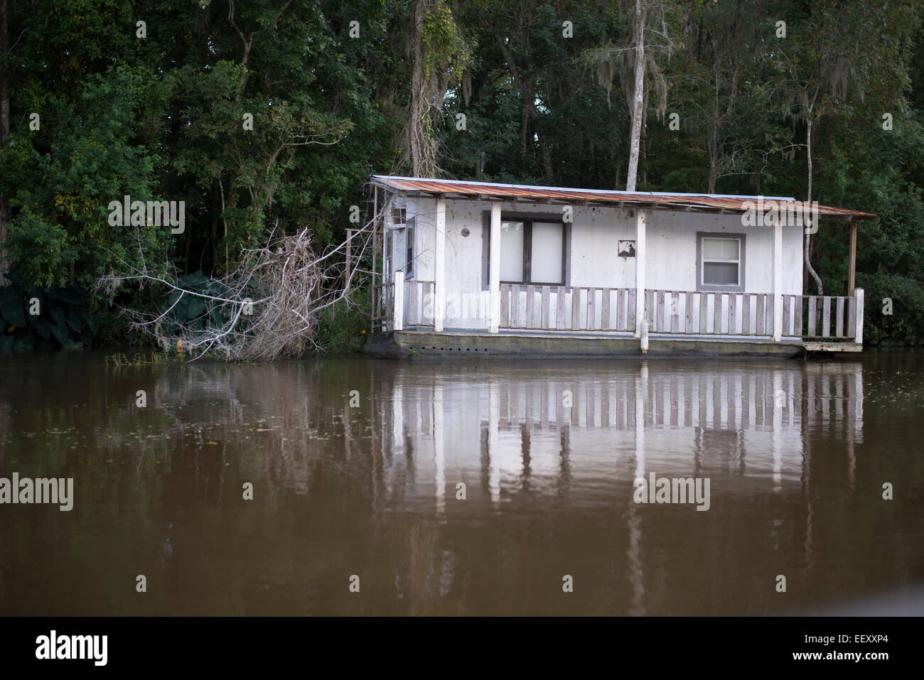 Mississippi river delta birds hi-res stock photography and images - Alamy
