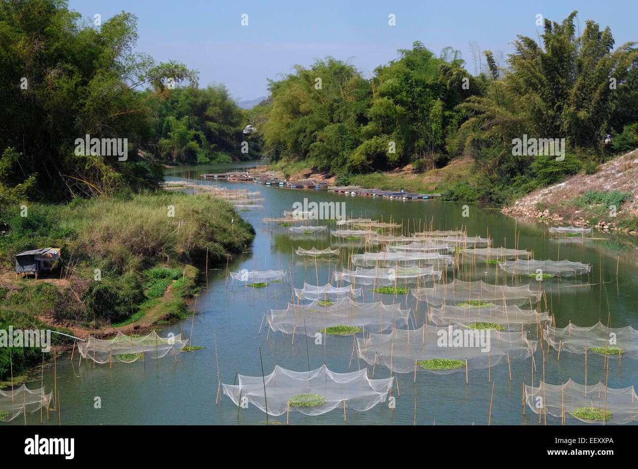Traditional fish traps in the Loei River in Northern Thailand Stock ...