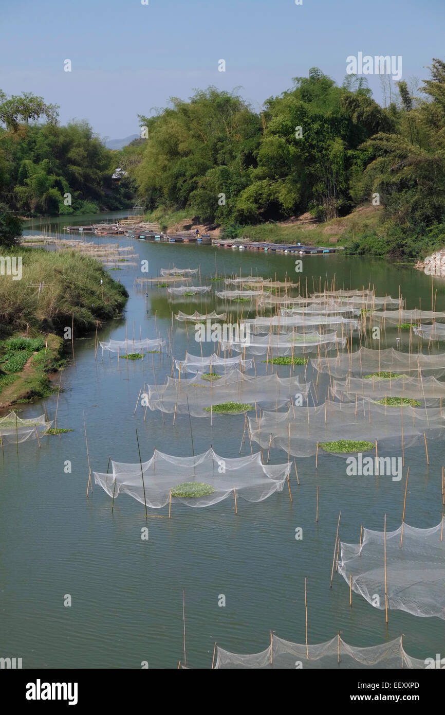 Traditional fish traps in the Loei River in Northern Thailand Stock ...