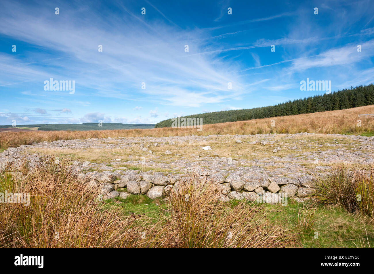 A bronze age platform cairn on the archaeology trail at Llyn Brenig in ...