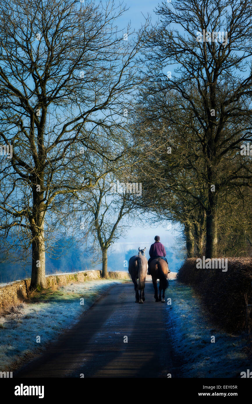 Stable Ecosystem High Resolution Stock Photography and Images - Alamy