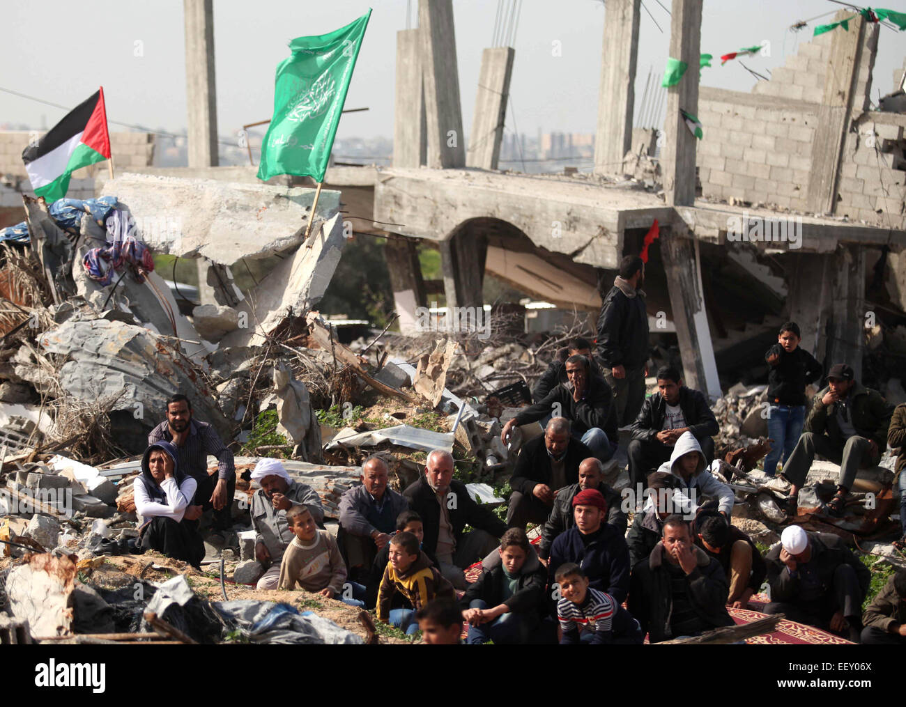 Johr A-Deek, Gaza Strip, Palestinian Territory. 23rd January, 2015 ...