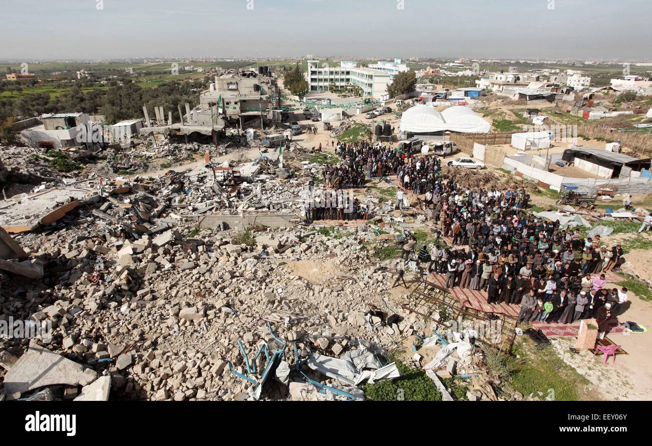 Johr A-Deek, Gaza Strip, Palestinian Territory. 23rd January, 2015 ...