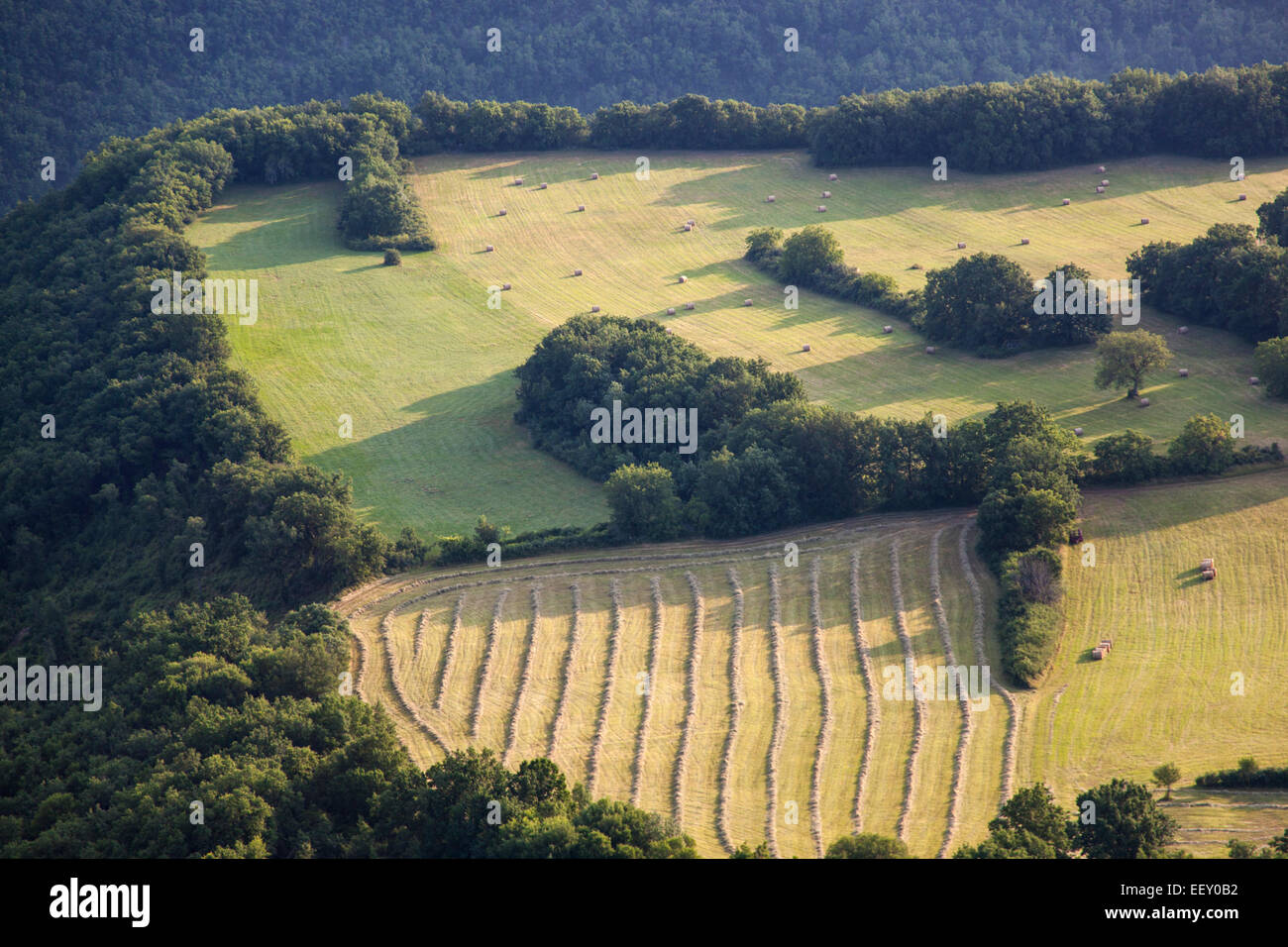 Aerial view of field and meadows at hay making time Stock Photo - Alamy