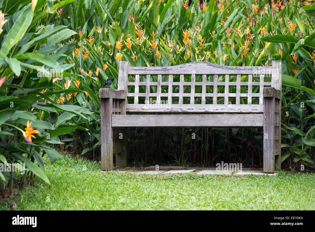 vintage wooden bench on the green meadow with blossom plants around ...